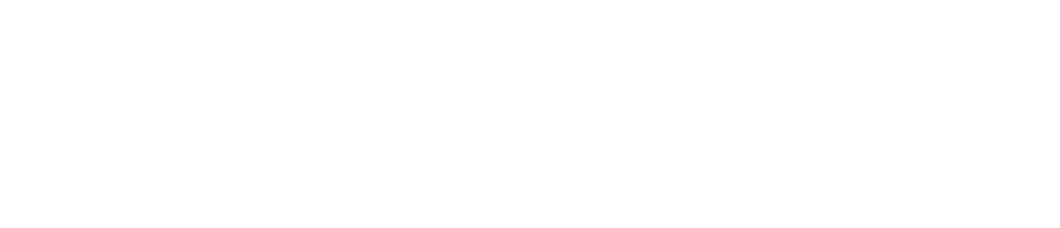 Executive Channel Network